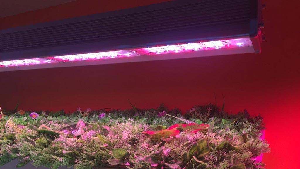 LED Grow Lighting Fair - Atop Lighting