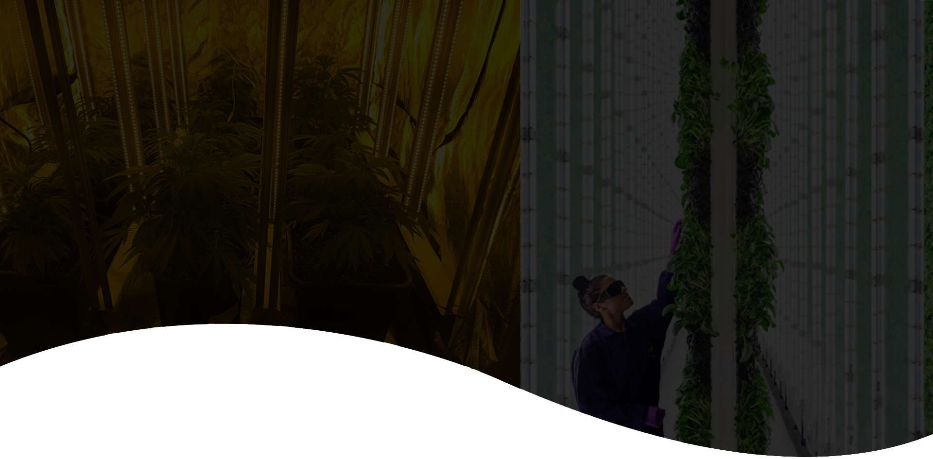 HL04 Horti-Tube Pro LED Interlighting System - Atop Lighting